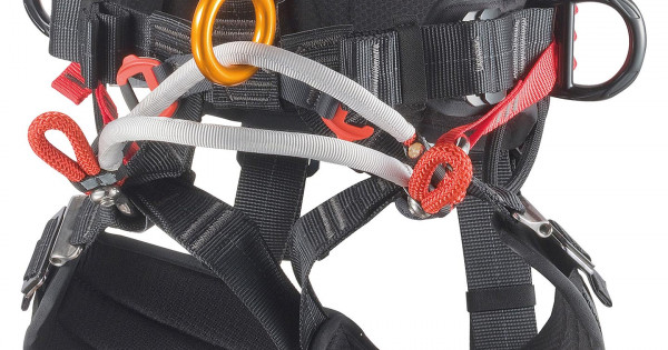 CAMP LIBERTY BLACK - Harnesses